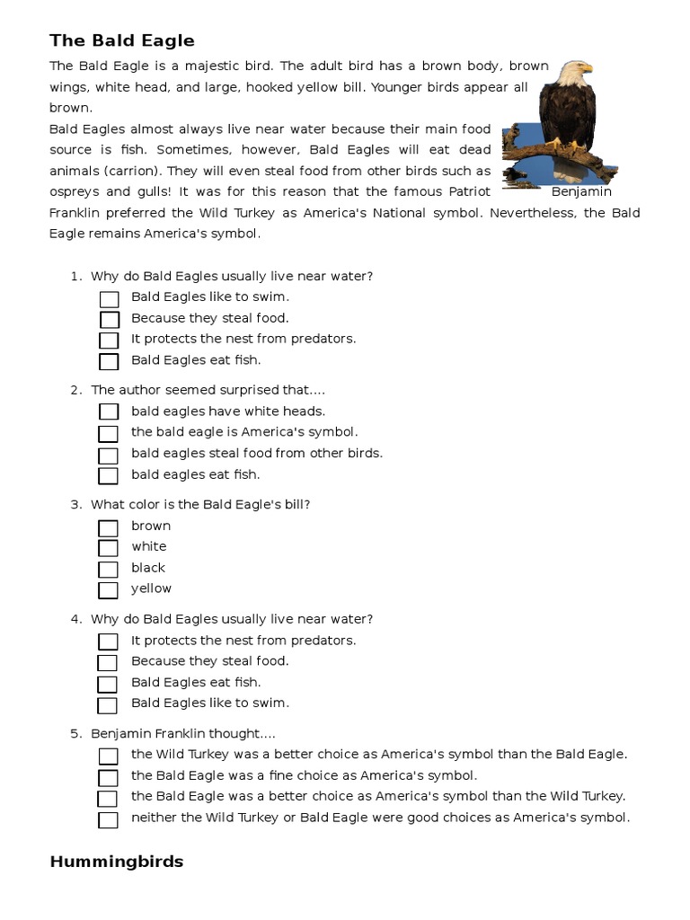 Reading Comprehension Animals 2 | PDF | Bald Eagle | Eagle