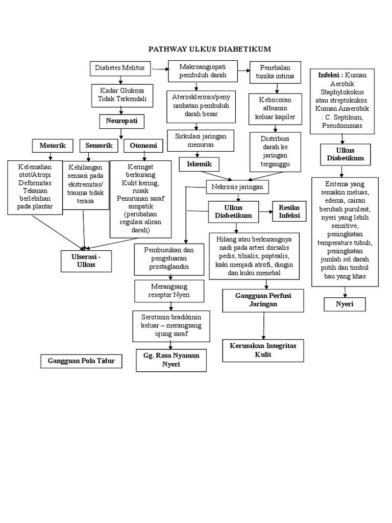 Patofisiologi Ulkus Diabetik | PDF