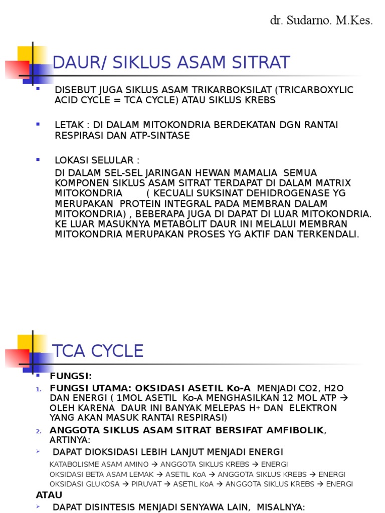Siklus Asam Sitrat | PDF