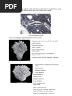 Akhmad Dwi Tular - Deskripsi Foraminifera Bentonik | PDF