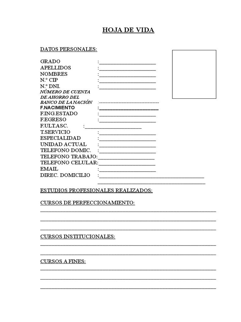 Formato Hoja De Vida Pdf Para Llenar Descargar Gratis - Riset