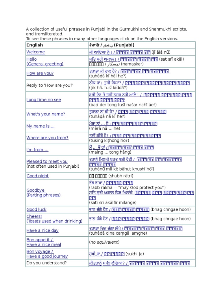 A Collection of Useful Phrases in Punjabi in The Gurmukhi and Shahmukhi ...