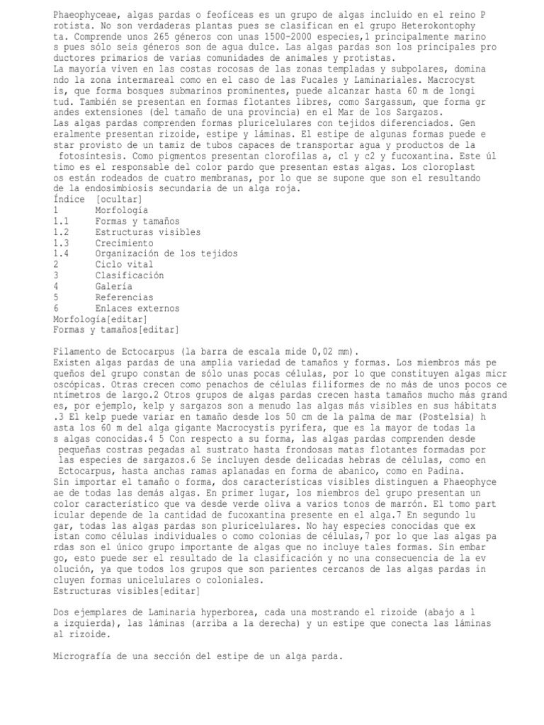 Características de las Algas Pardas | PDF | Algas | Plantas