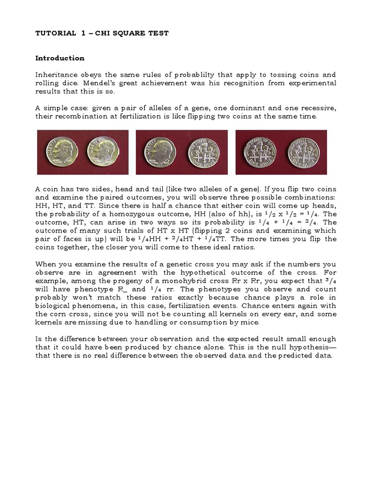 Chi Square Tutorial | PDF | Dominance (Genetics) | Genetics