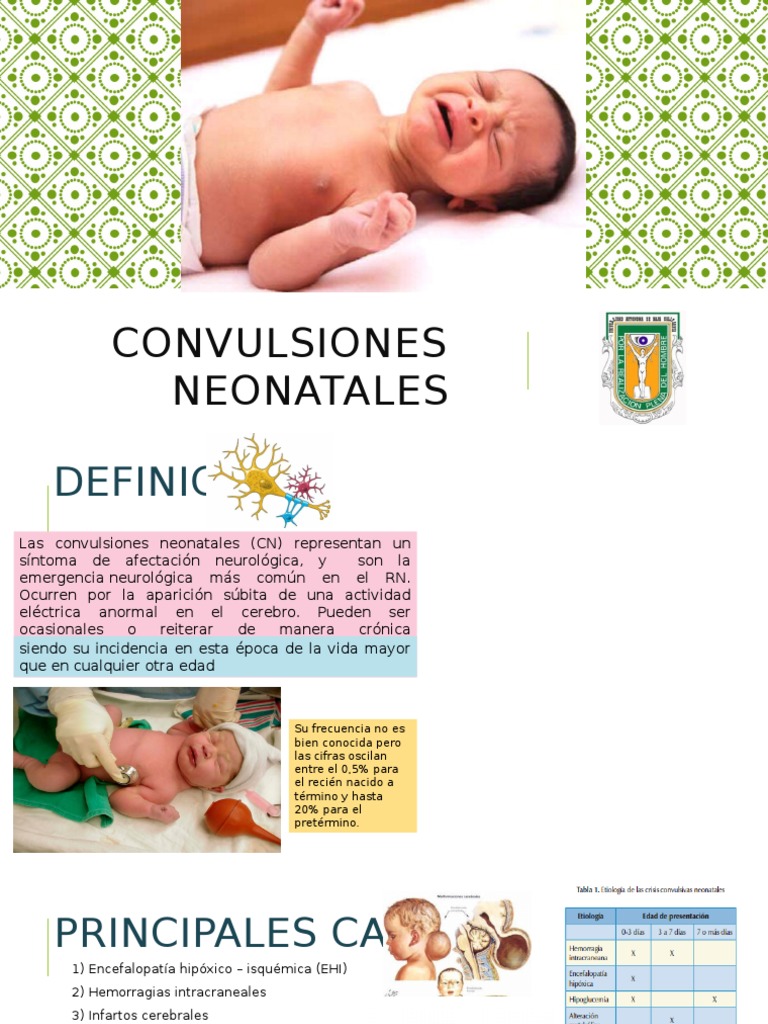 Convulsiones Neonatales | PDF | Epilepsia | Ciencias de la Salud
