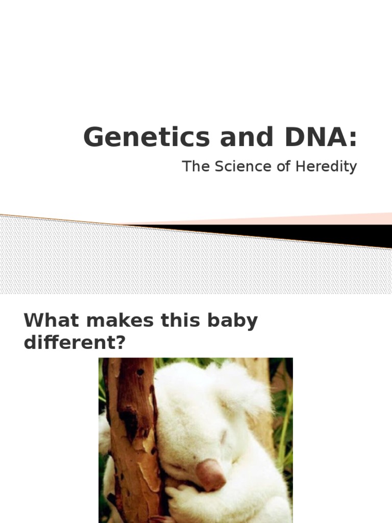 Genetics and DNA1 | PDF | Dominance (Genetics) | Allele