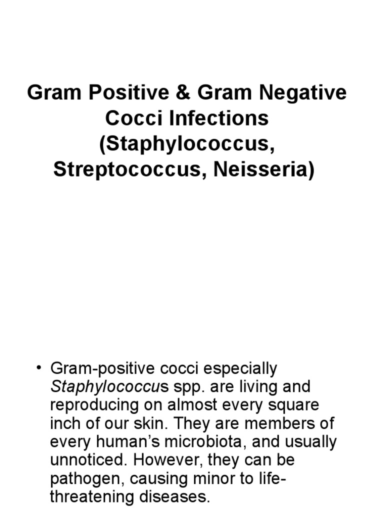 1.Gram Positive & Gram Negative Cocci Infections | Streptococcus ...