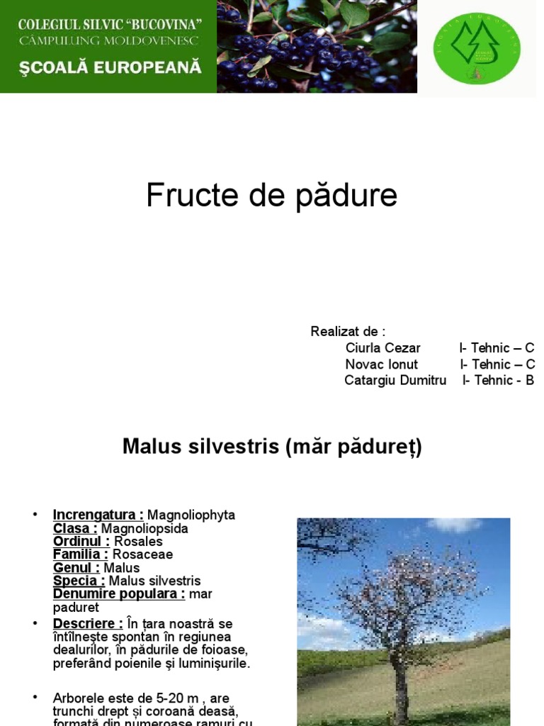 Fructe de Padure | PDF