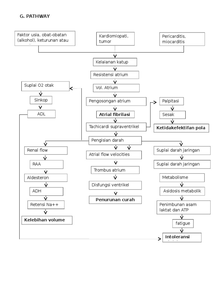 Pathway Atrial Fibrilasi | PDF