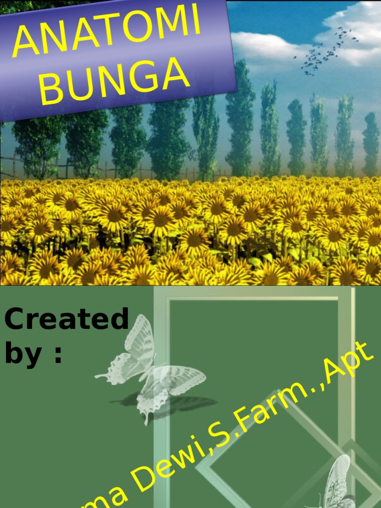 Anatomi Bunga | PDF