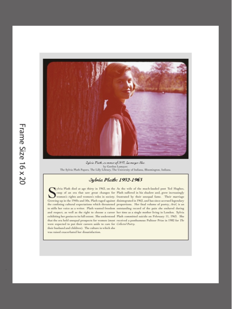 Sylvia Plath: Life, Family, and Legacy | PDF | Sylvia Plath | Poetry