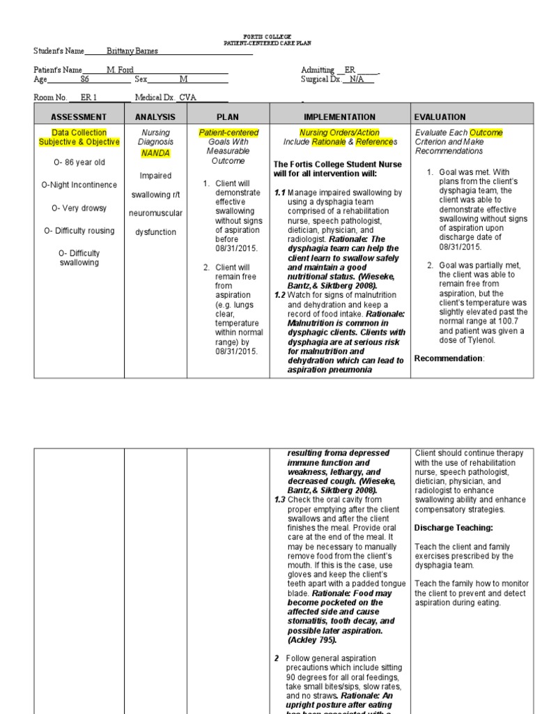 Nursing Care Plan Example | PDF | Medicine | Clinical Medicine