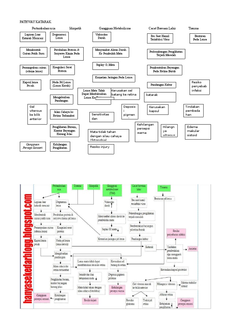 Pathway Katarak | PDF