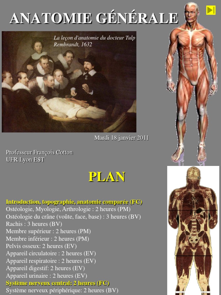 Cours d'anatomie générale PDF | PDF | Système de référence en anatomie ...
