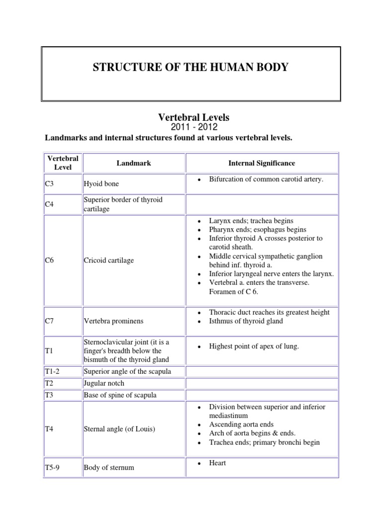Anatomy of the Human Body: A Guide to Landmarks and Internal Structures ...