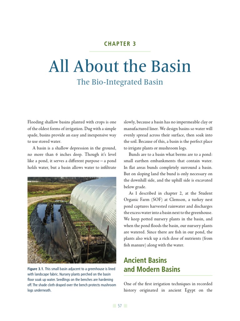 Efficient Basin Irrigation Techniques | PDF | Irrigation | Drainage Basin