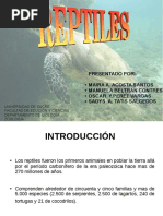 Clasificación de Anápsidos y Diápsidos | PDF | Serpiente | Reptil