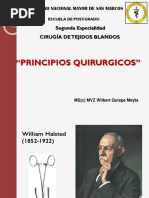 Principios Quirúrgicos de Halsted | PDF | Cirugía | Esterilización ...