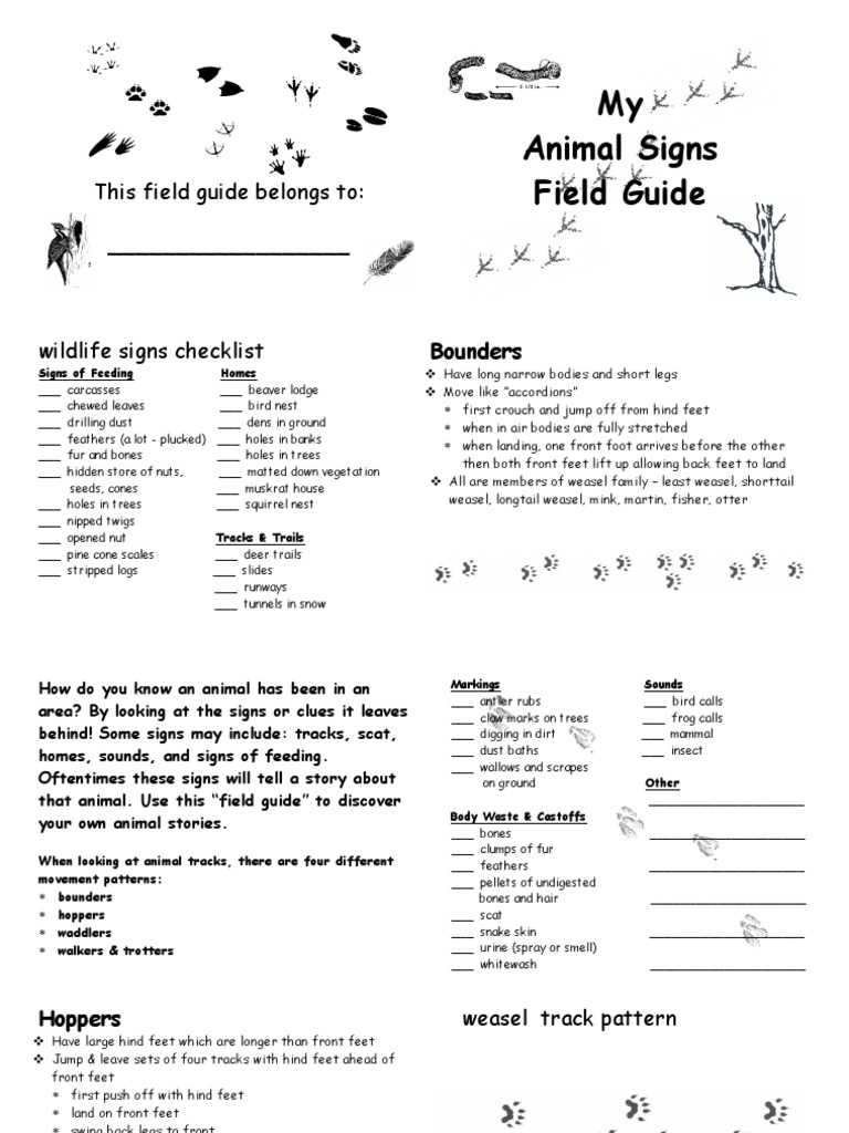 Animal Signs Guide | PDF | Horse Gait | Squirrel