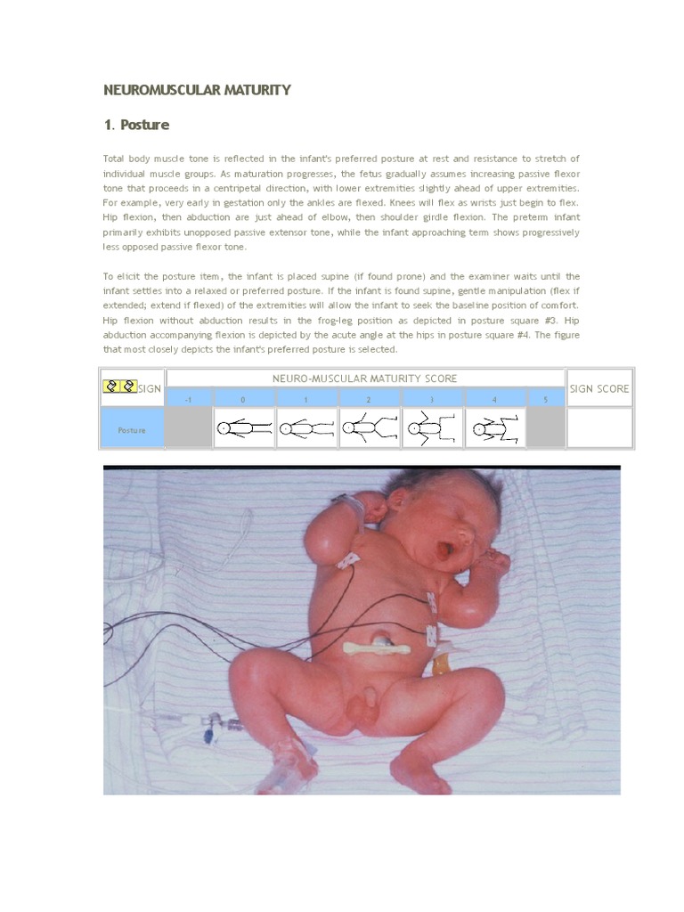 Ballard Score | PDF | Anatomical Terms Of Motion | Labia