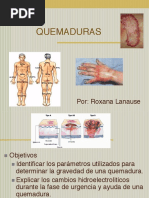 Regla de los 9 de Wallace en quemaduras | PDF | Ciencias sociales