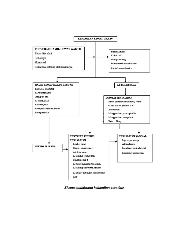 PATHWAY Skema Tatalaksana Kehamilan Post Date | PDF