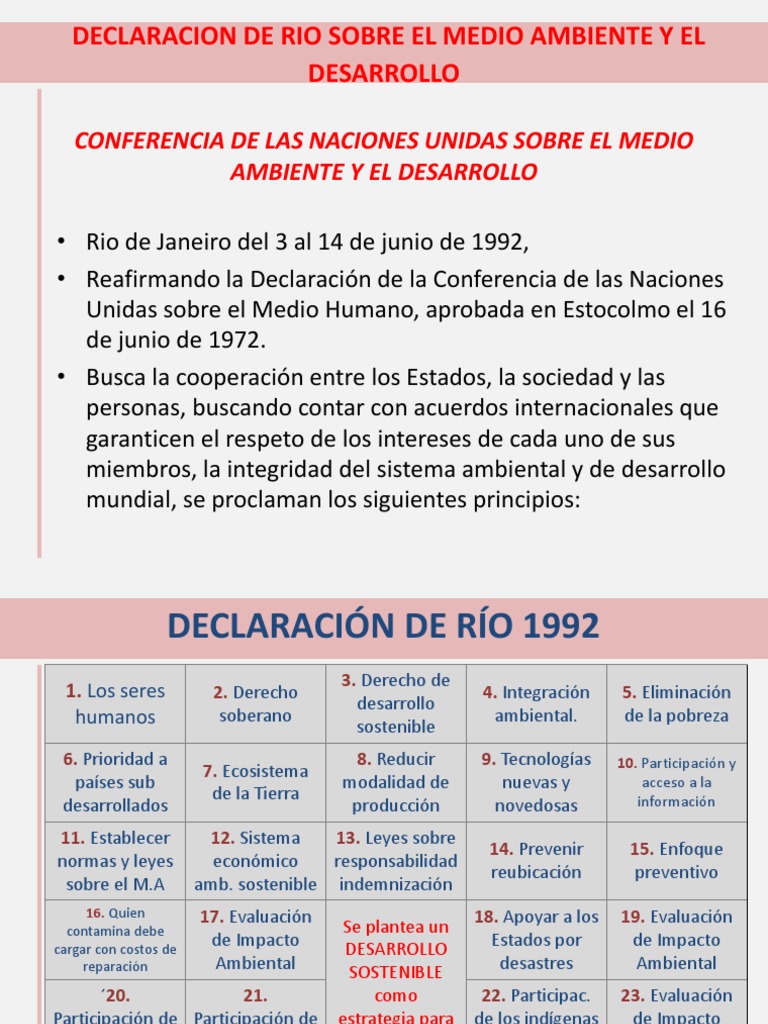de La Declaración de Rio | PDF | Entorno natural | Politica Ambiental