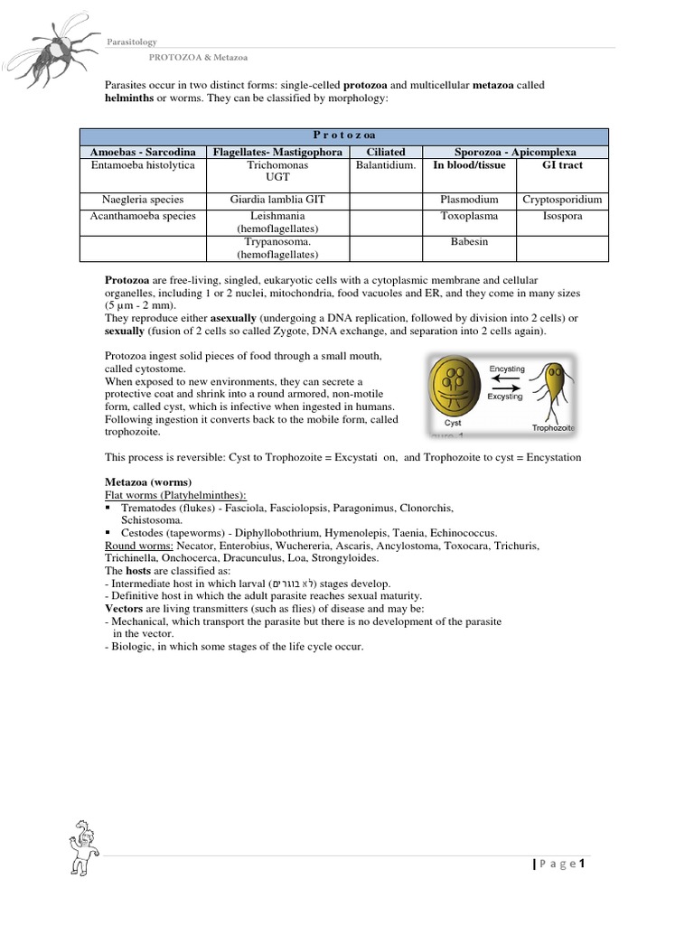 Parasitology Notes | Immunology | Clinical Medicine