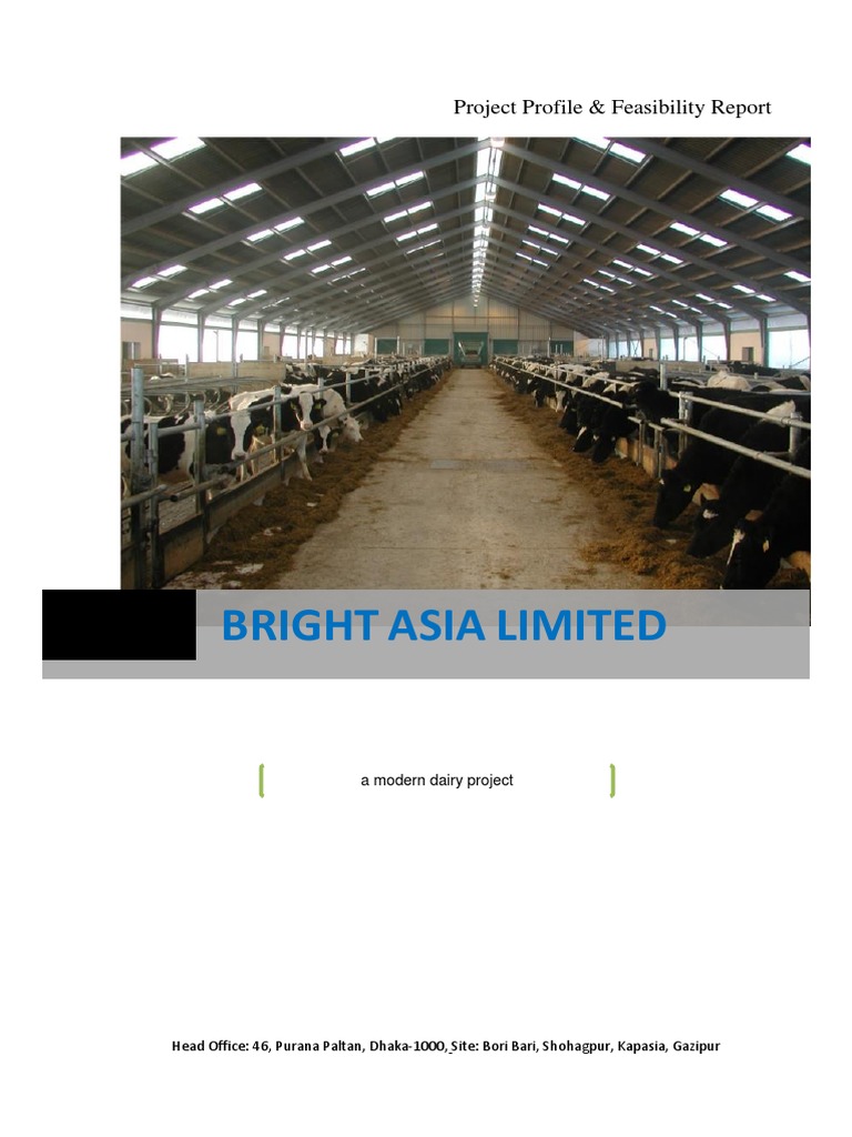 Project Profile On Dairy Plant | PDF | Dairy | Revenue