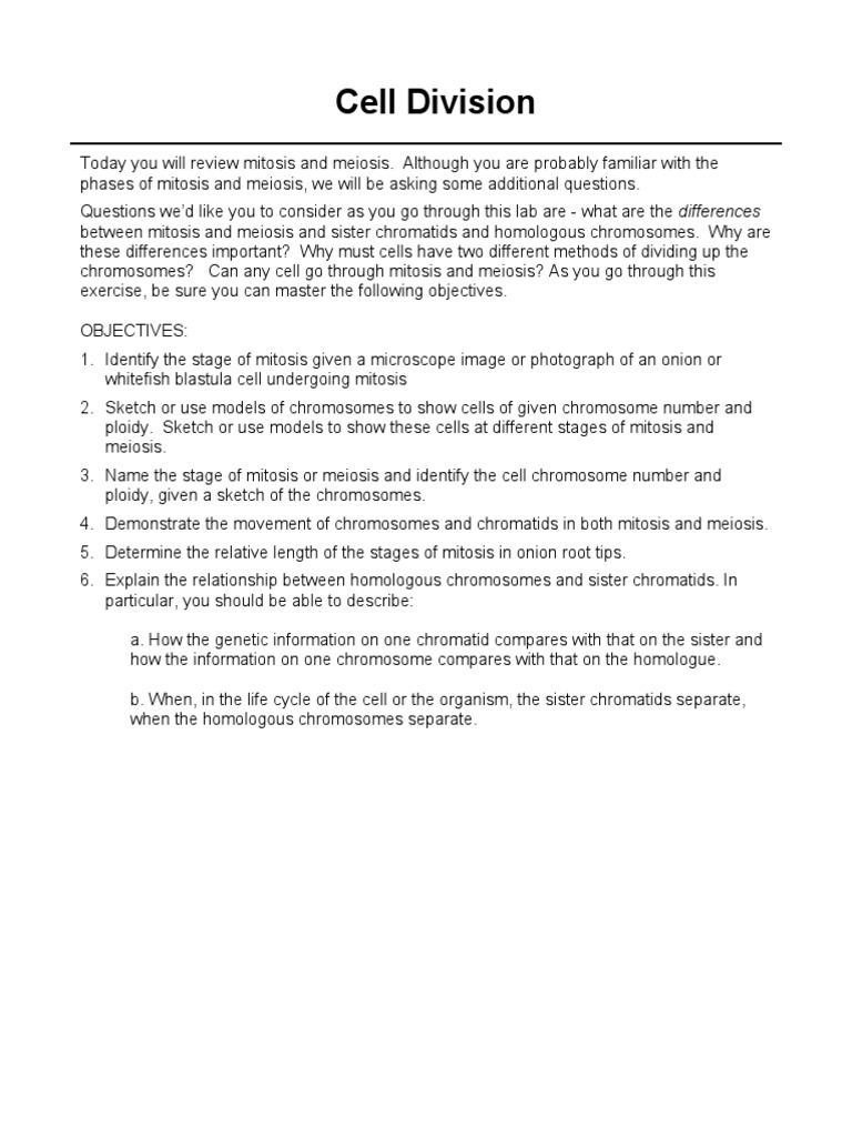 Cell Divisionnoworksheets15 | PDF | Meiosis | Mitosis