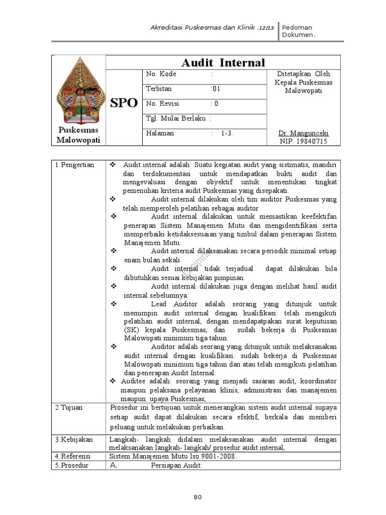 SPO Audit Internal | PDF