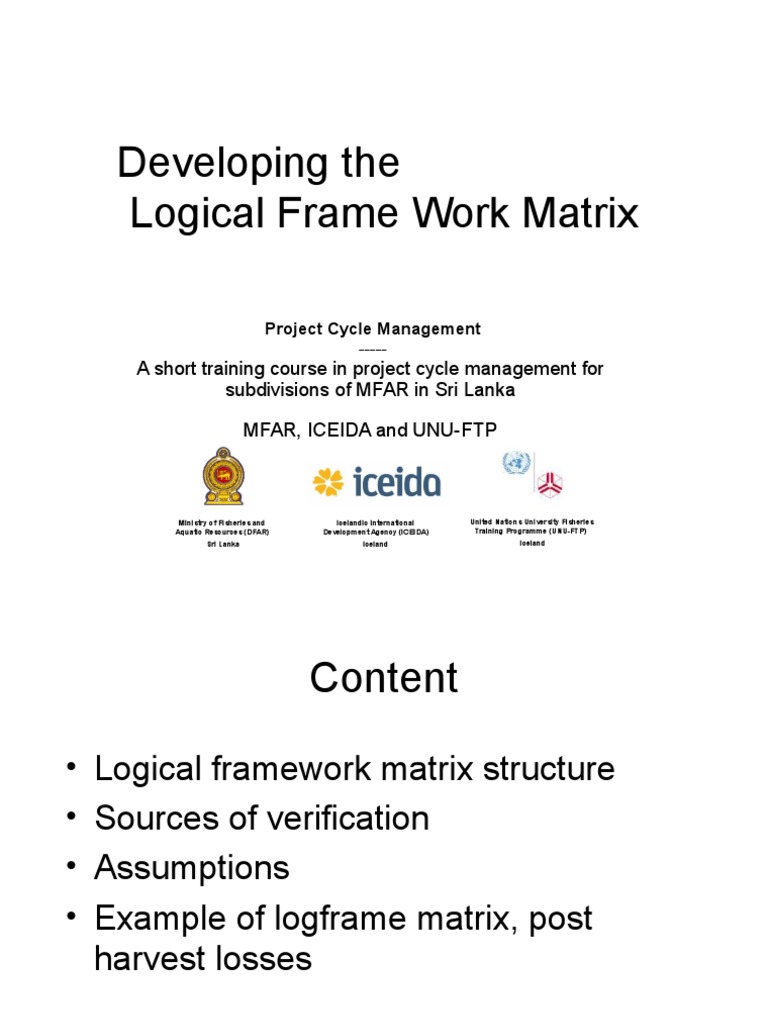 Developing The Logical Frame Work Matrix | PDF | Strategic Management ...