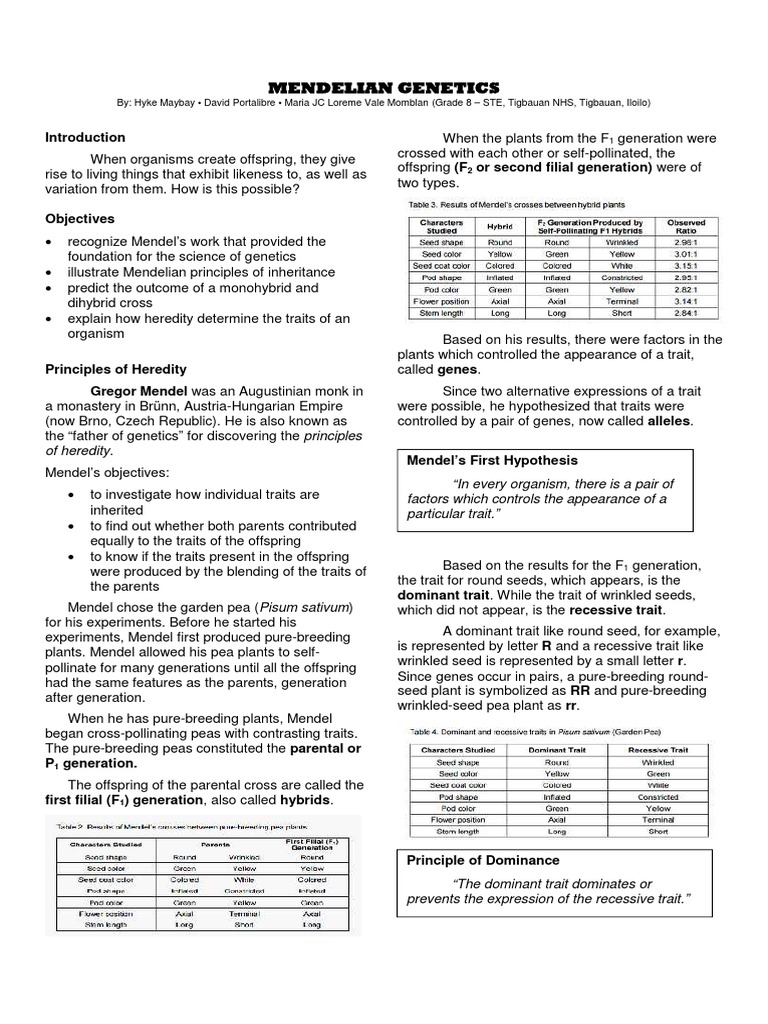 Mendelian Genetics | PDF | Life Sciences | Genetics
