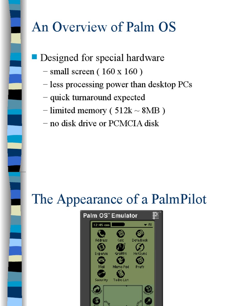 Palm OS Overview | PDF | Pointer (Computer Programming) | Computer Data ...