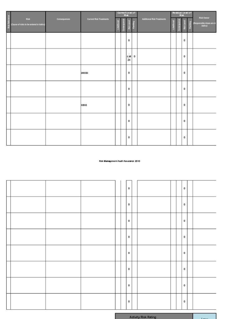 2010 Risk Management Audit | PDF | Risk | Risk Management