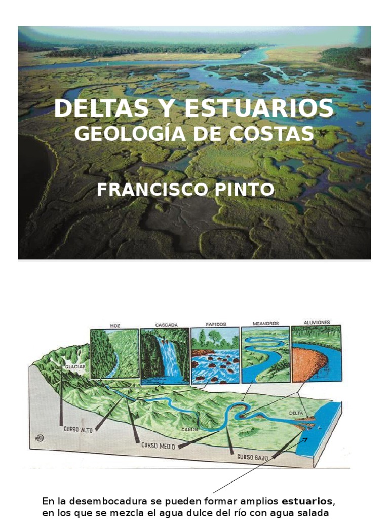 Deltas y Estuarios | PDF | Tecnología