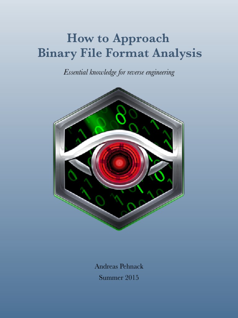 Binary File Format Analysis | PDF | File Format | String (Computer Science)