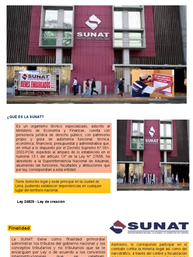 Sunat | PDF | aduana | Impuestos