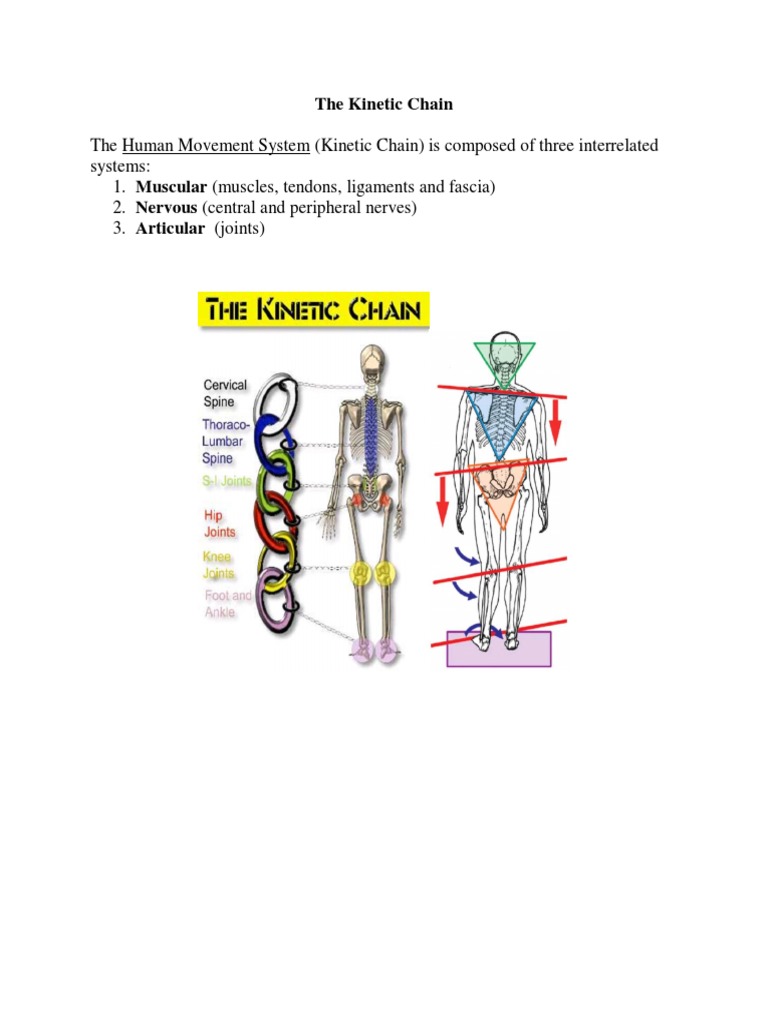 Kinetic Chain Dysfunction Guide | PDF