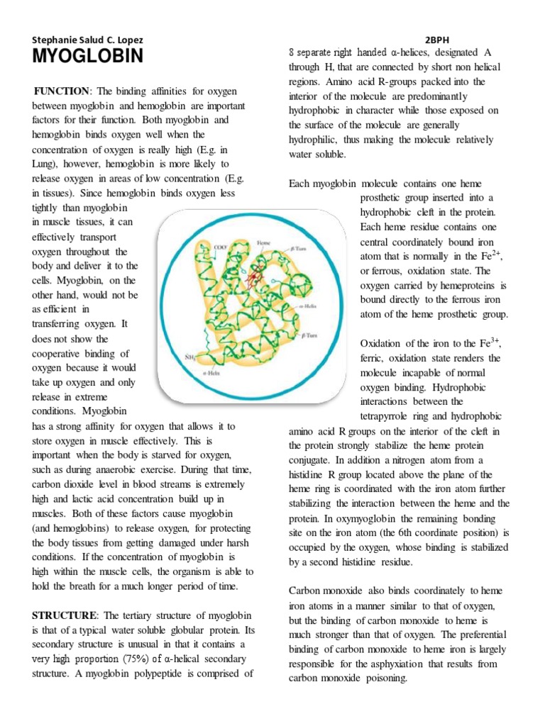 Biochem Structures and Functions | PDF | Hemoglobin | Antibody