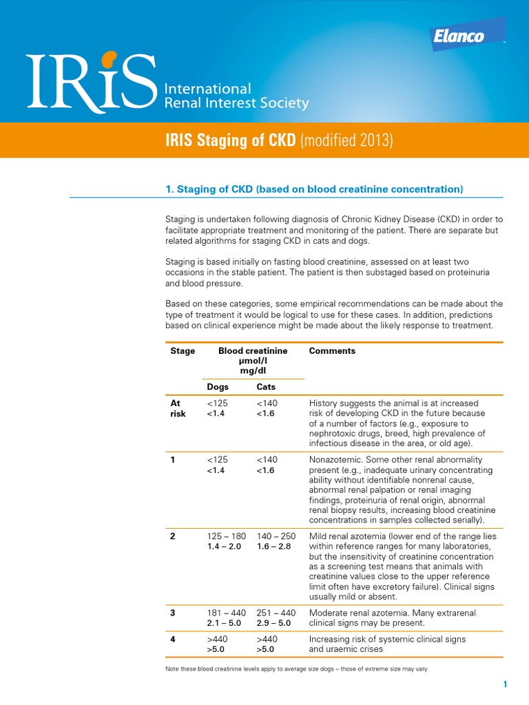 n378.008 Iris Website Staging of Ckd PDF | Chronic Kidney Disease ...
