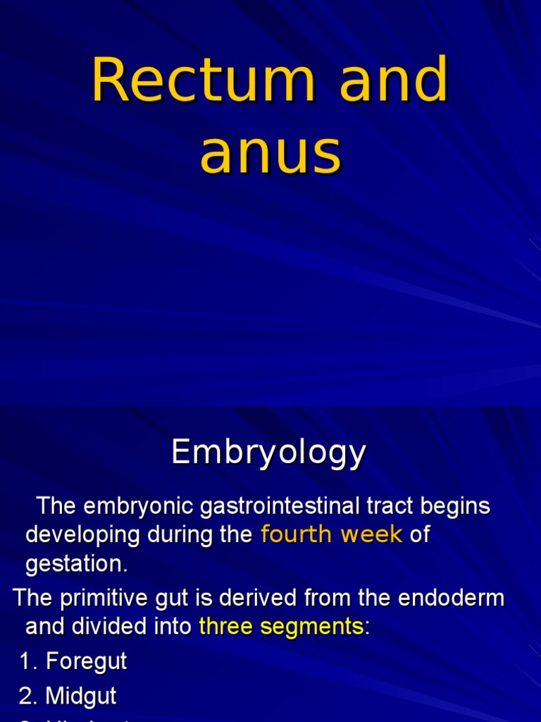 Anorectal Anatomy & Surgical Management | Hemorrhoid | Constipation