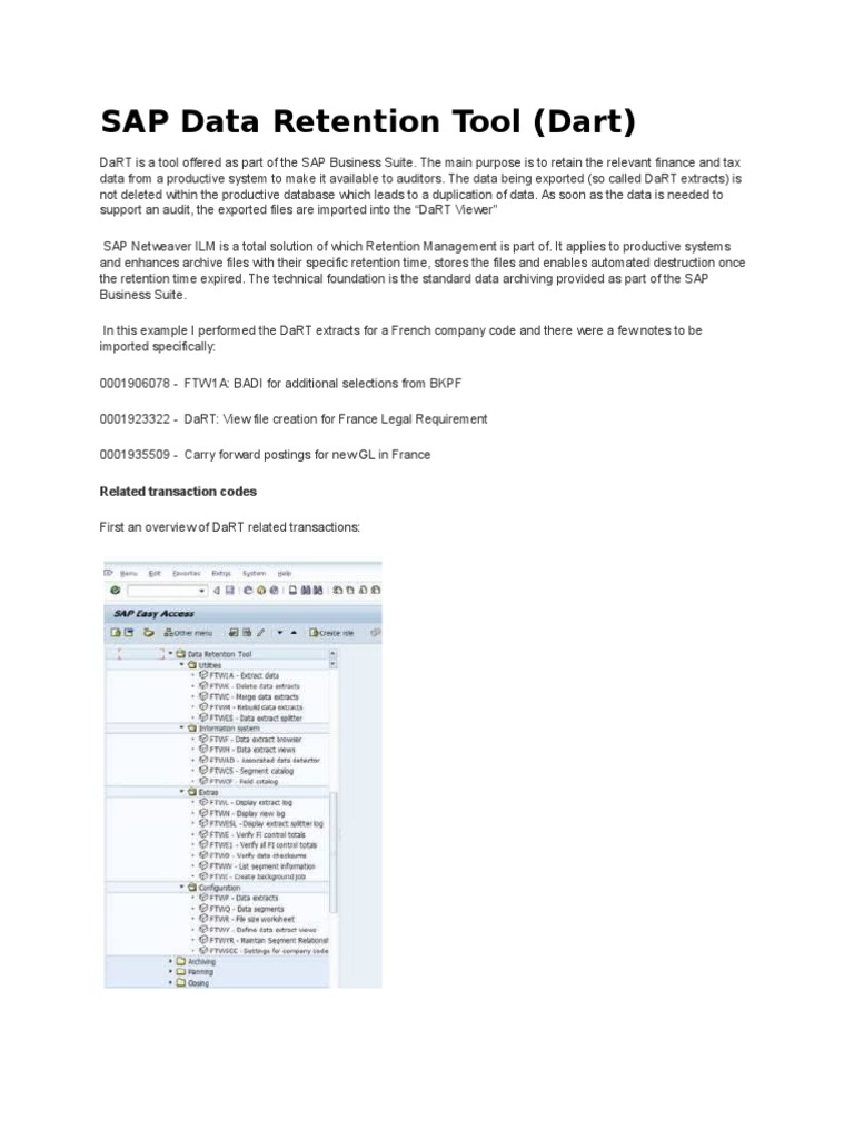 SAP Data Retention Tool - Dart | PDF