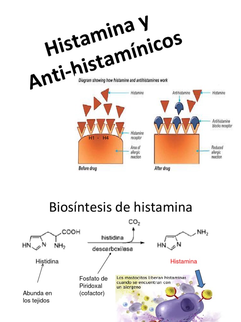 19. Antihistaminicos | Farmacología | Drogas