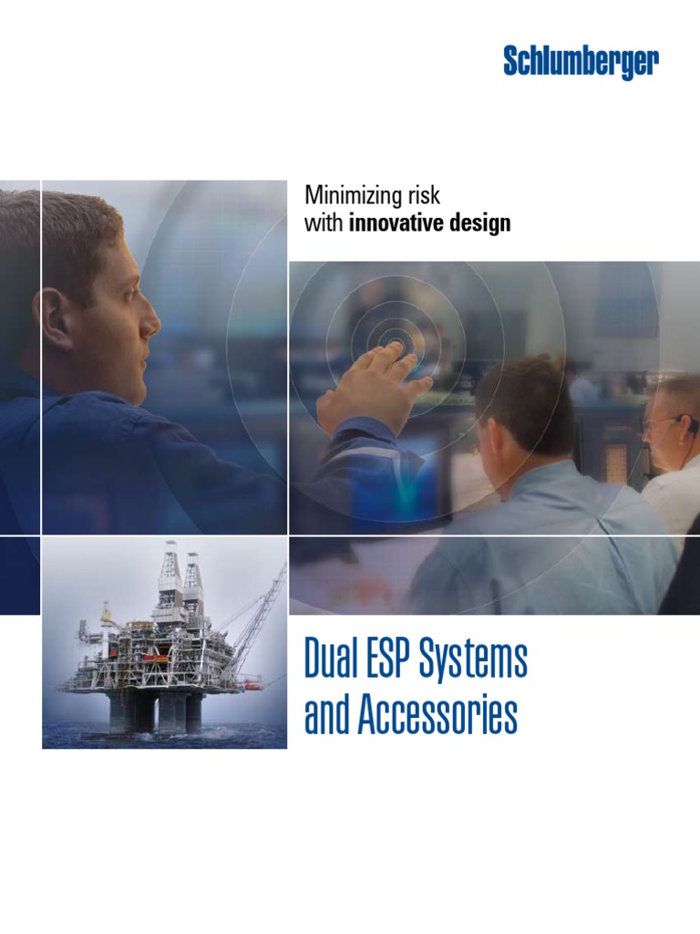 Dual Esp | PDF | Subsea (Technology) | Pump