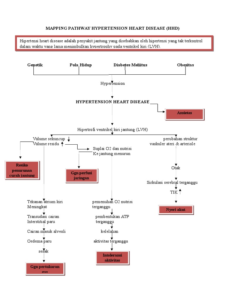 Mapping Pathway Hypertension Heart Disease | PDF