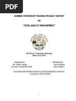 Field Project Report Format | PDF