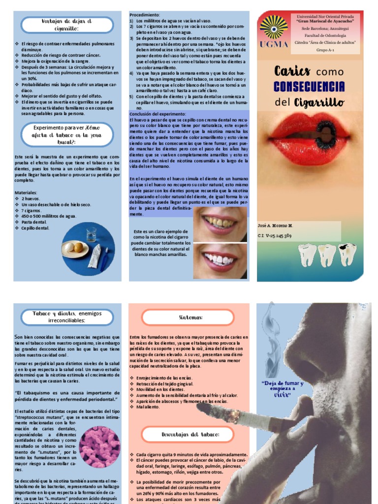 Efectos Del Tabaco en Los Dientes | Diente humano | Fumar tabaco