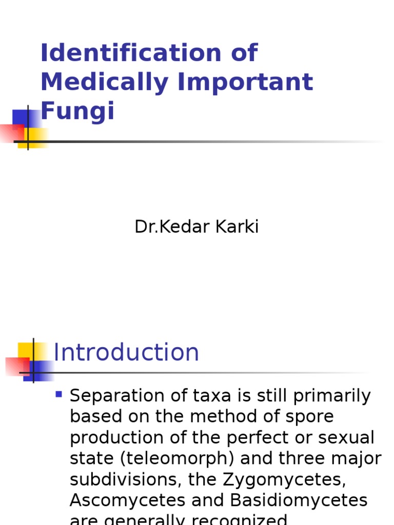 Identification of Medically Important Fungi | Fungus | Wellness