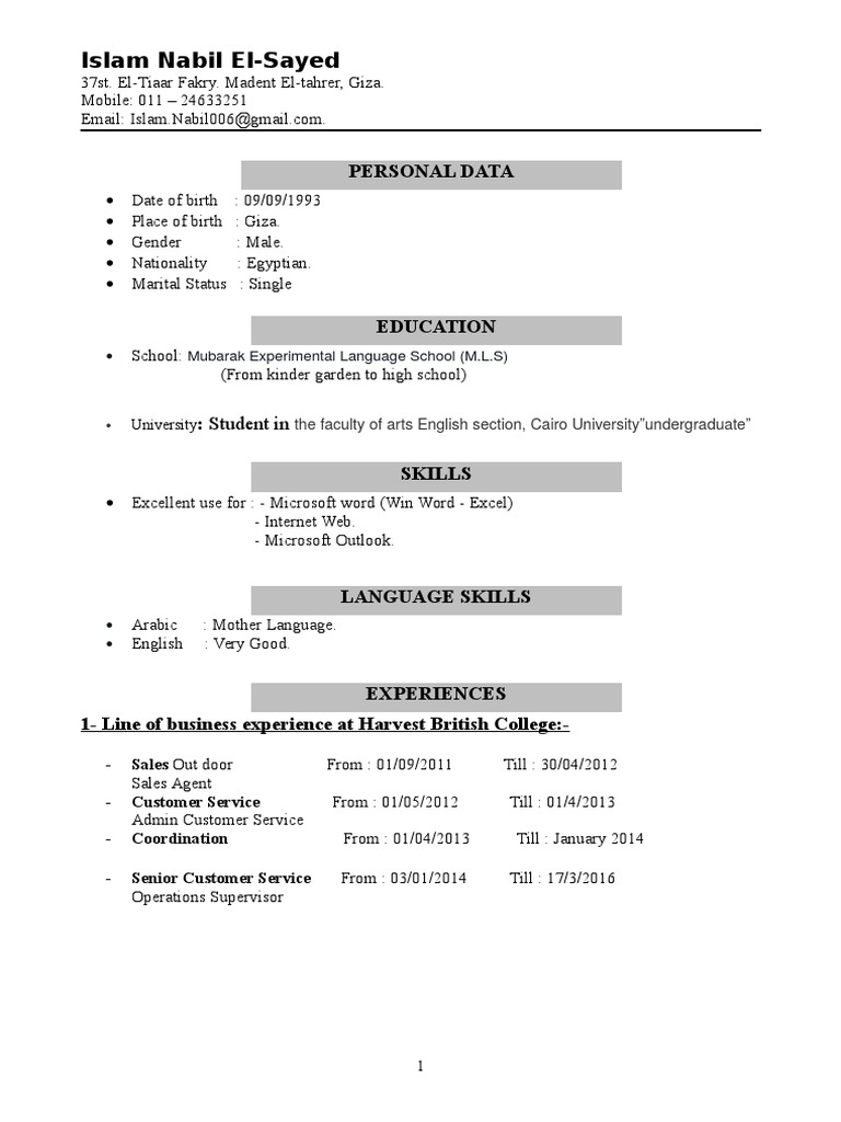 Islam Nabil El-Sayed: Personal Data | Download Free PDF | Sales | Computing